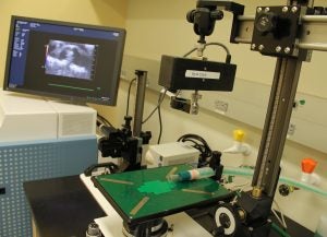 Ultrasound Vevo2100 System - Biomedical Research Imaging Center