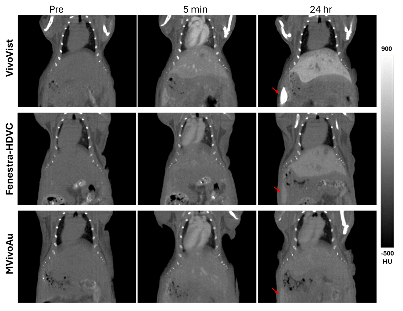 CT Sample Images - Biomedical Research Imaging Center