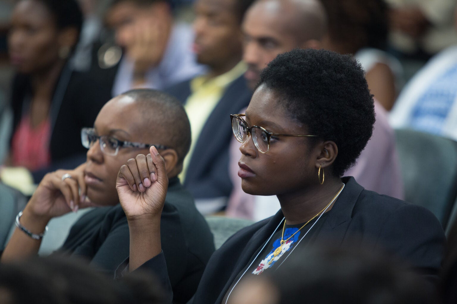 Carolina First Look Program | Curricular Pathways