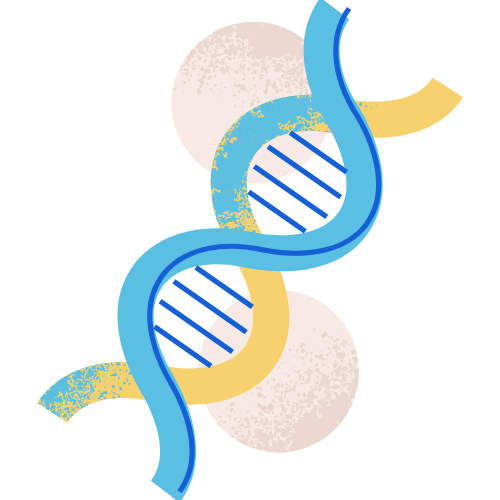 Understanding X-ALD and Its Impact on Women | Department of Neurology