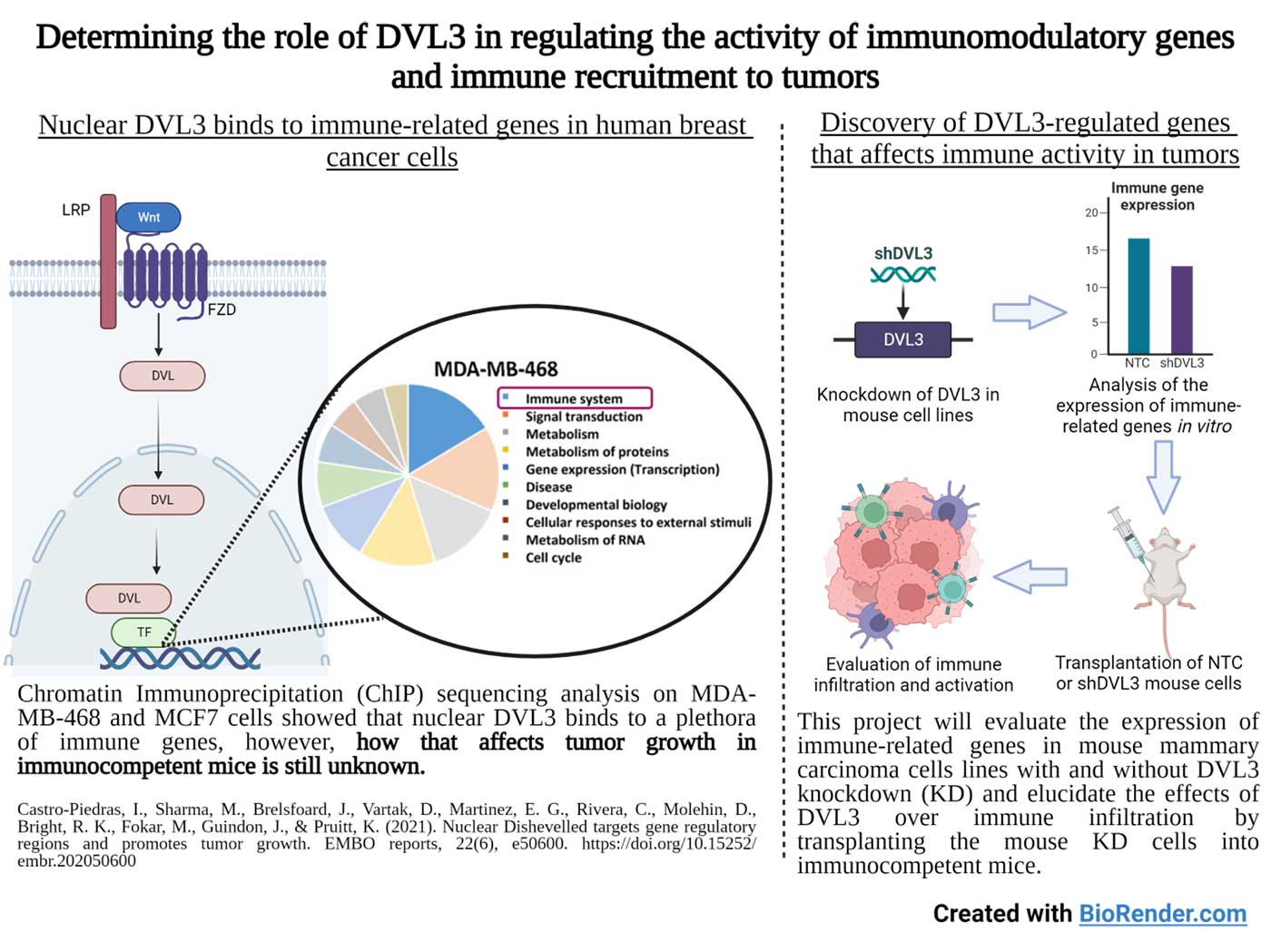 Flavia Sardela de Miranda - Pruitt Lab