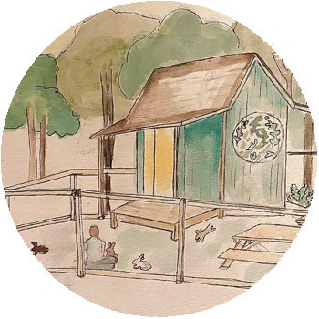 Bunny Village - UNC Center for Excellence in Community Mental Health